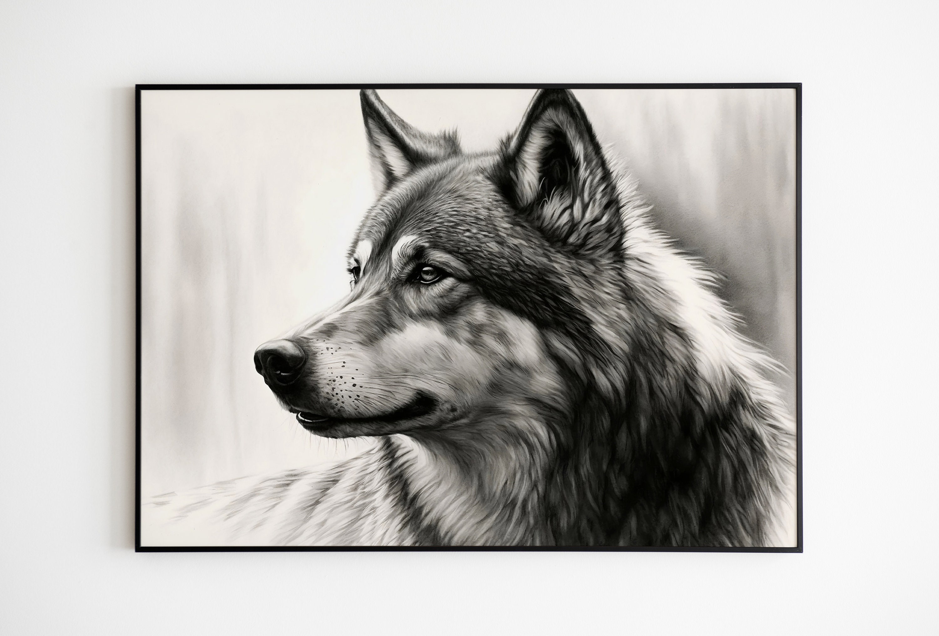 Black Wolf Pencil Drawing
