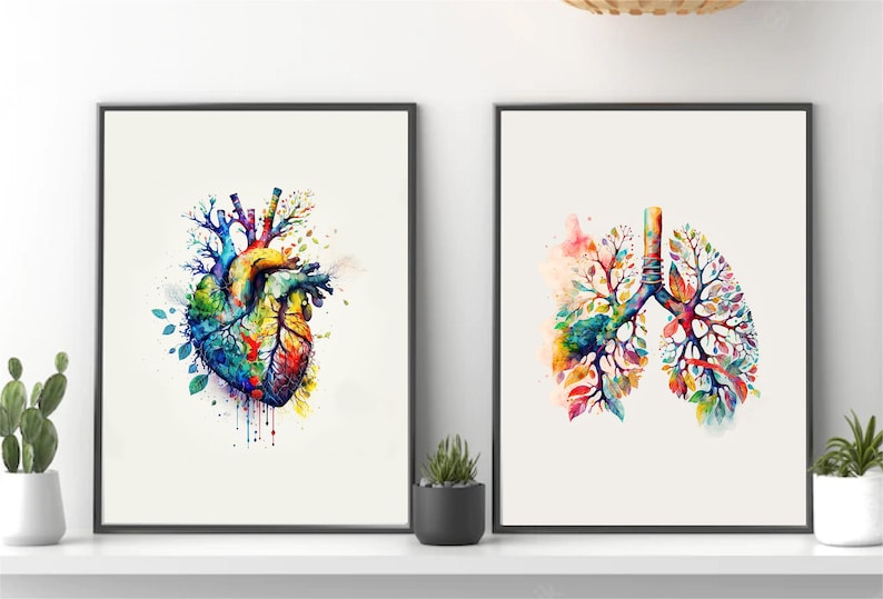 Unique Anatomical Lungs Organ Drawing Print on Quality Canvas. Colorful ...