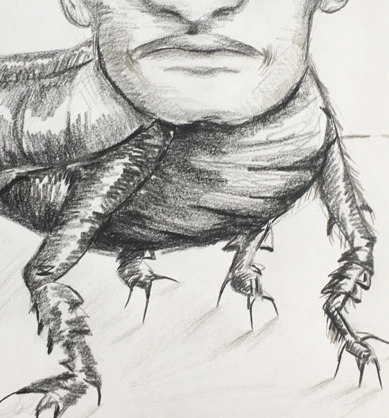 Original Colored Pencil Drawing of a Humanoid Bug Hybrid | Etsy