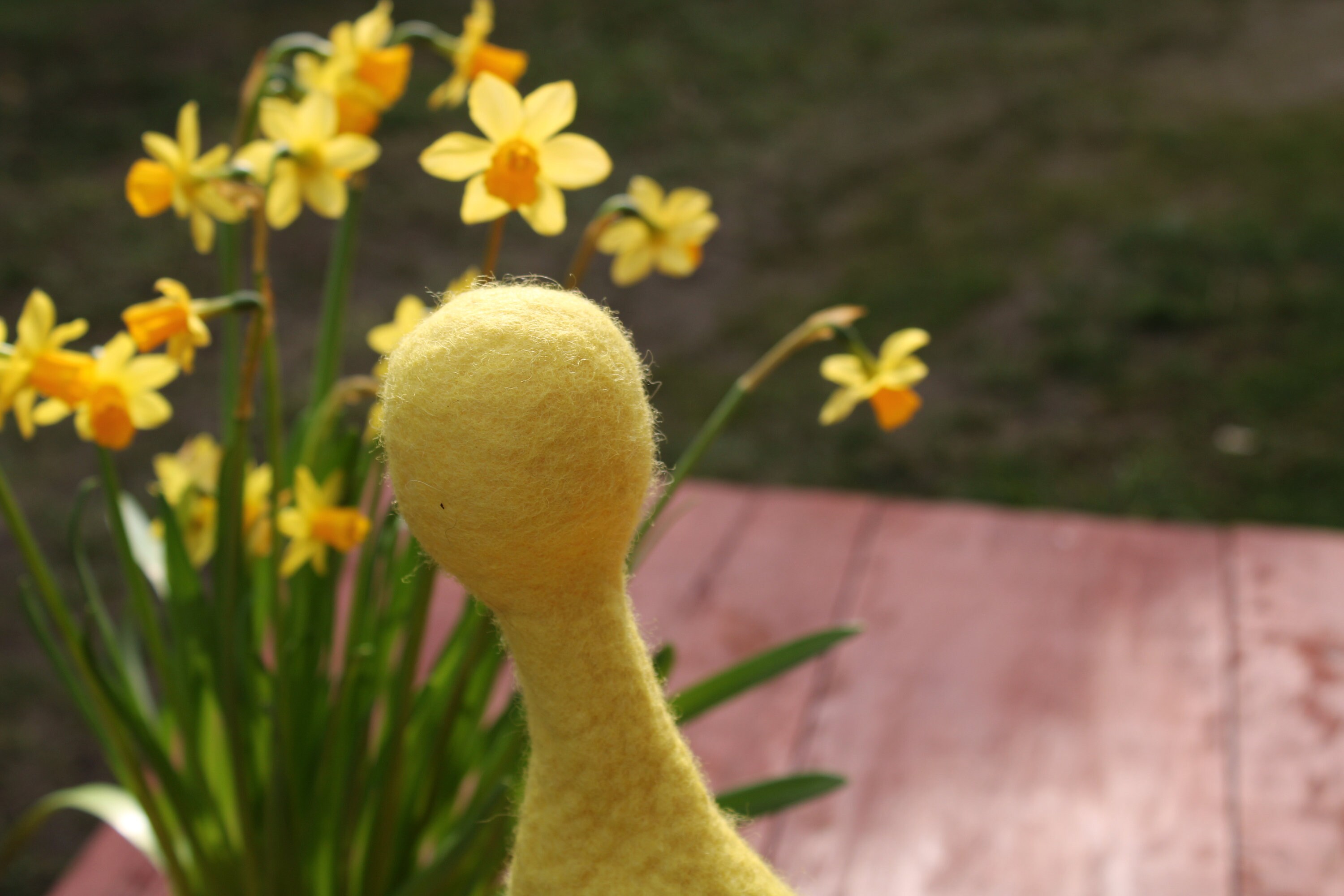 Custom Coours Jewish Hat Judenhut Medieval Jews Cap Mittelalter ...