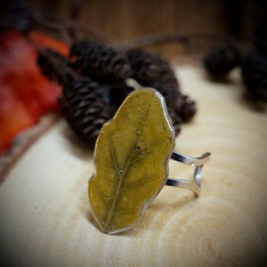 Your Choice of Adjustable Rings a Leaf on Your Finger Oak Leaf, Autumn ...