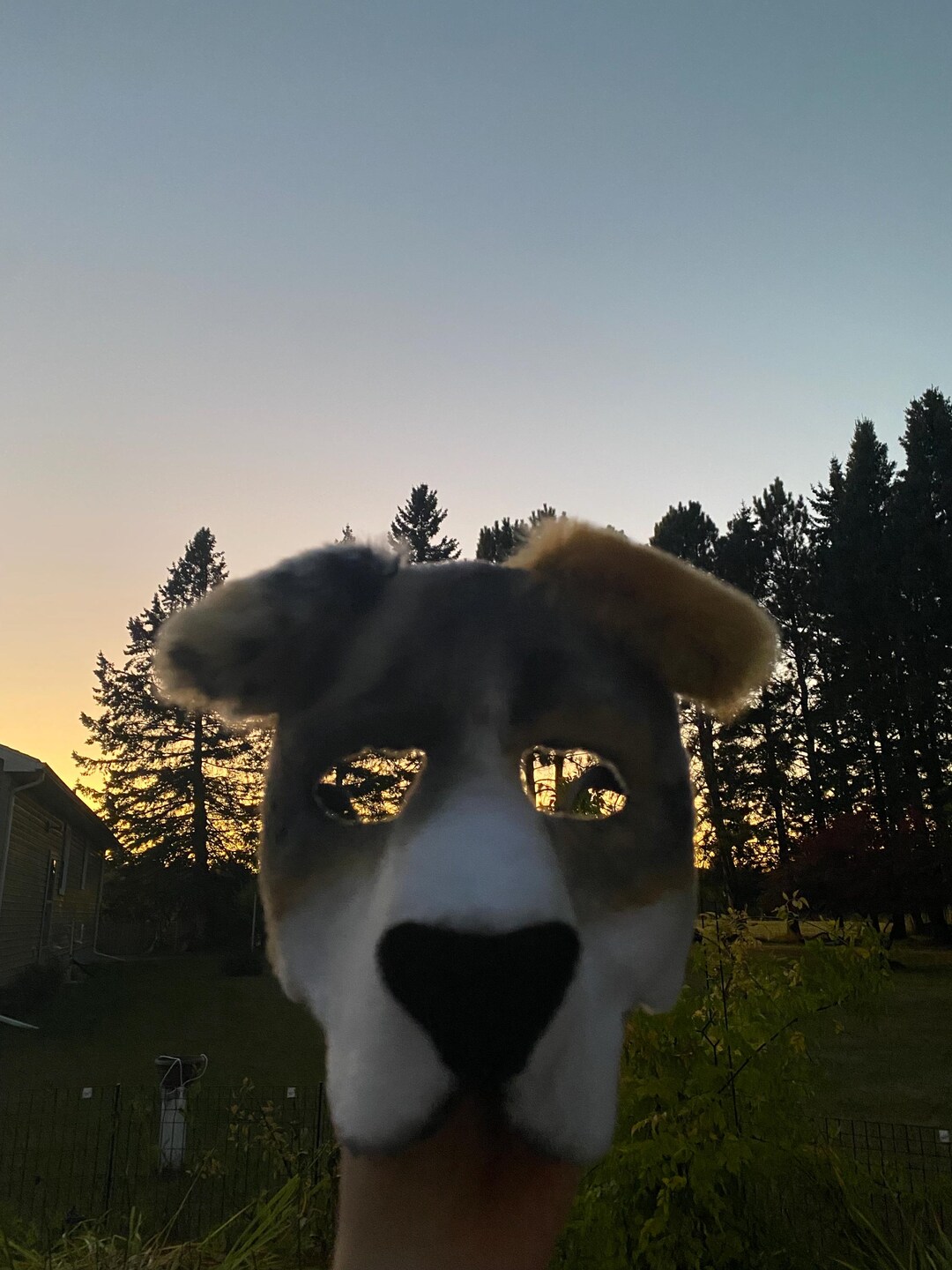 Australian Shepherd Mask - Etsy