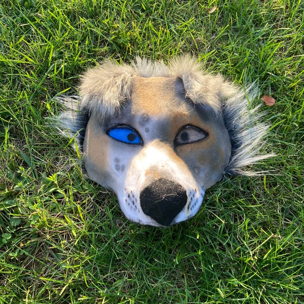 Australian Shepherd Costume - Etsy