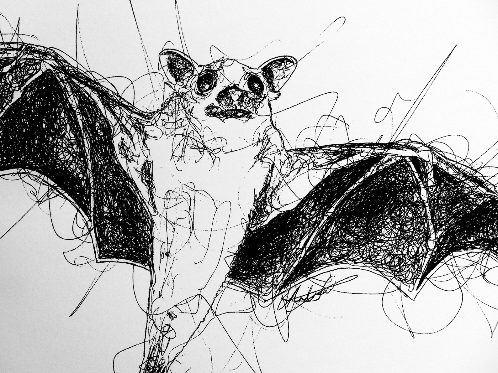 Bat A4 Art Print // Animal Scribble Ink Sketch Print // Gothic - Etsy