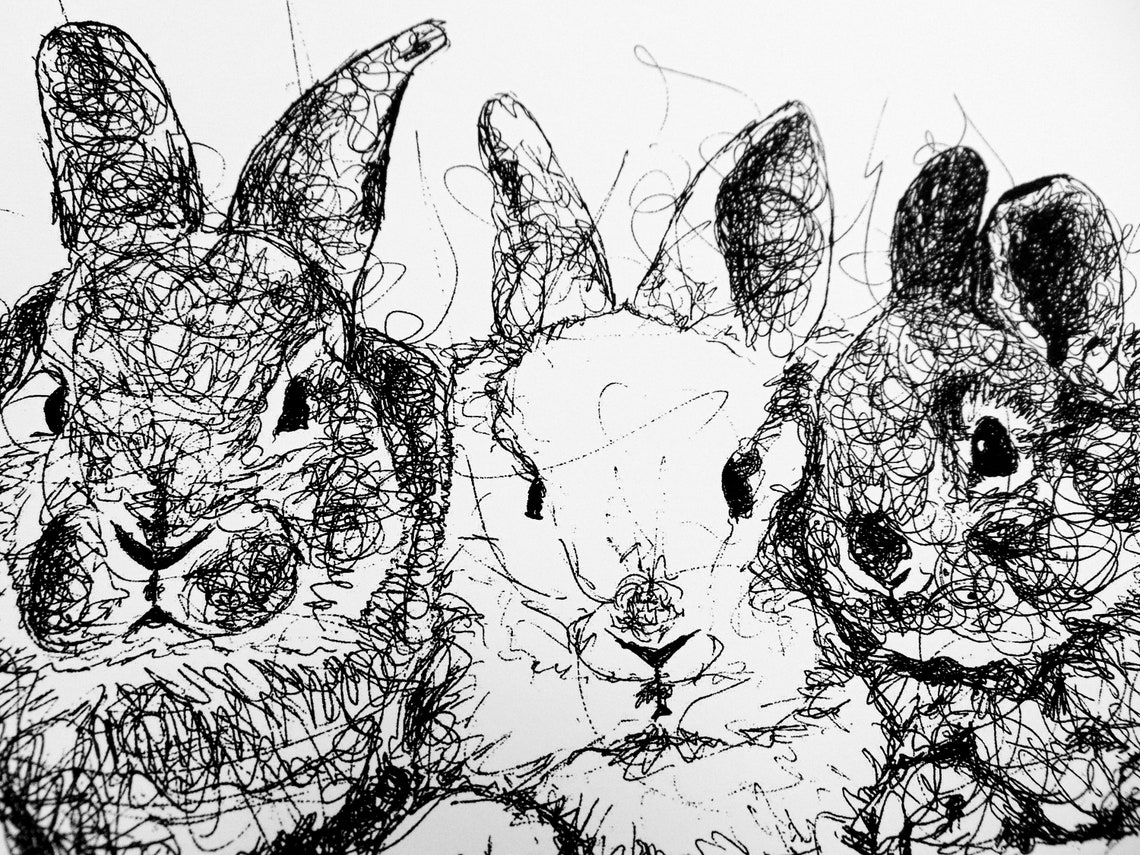Bunny Rabbits A4 Art Print // Animal Scribble Ink Sketch Print - Etsy