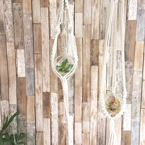 Macrame Hanging Glass Globe Air Plant Holder - Etsy