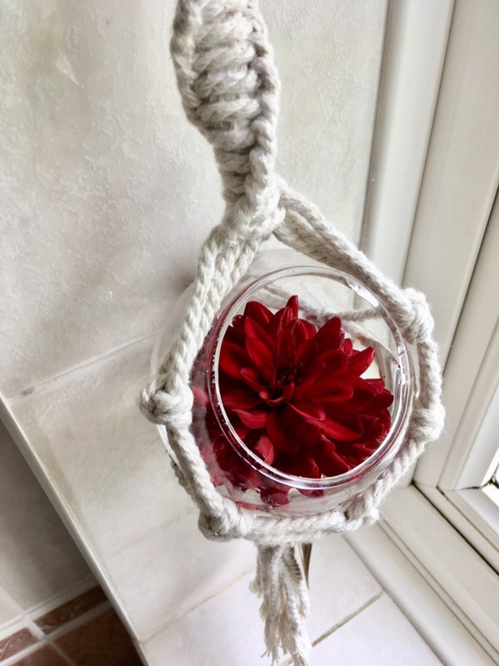 Macrame Hanging Glass Globe air plant holder | Etsy