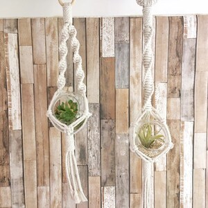 Macrame Hanging Glass Globe Air Plant Holder - Etsy