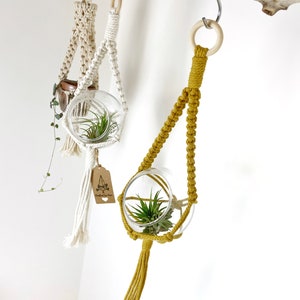 Macrame Hanging Glass Globe Air Plant Holder - Etsy