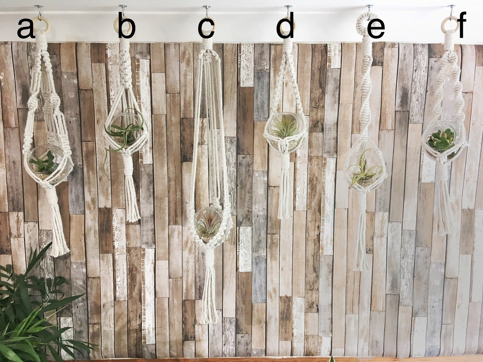Macrame Hanging Glass Globe Air Plant Holder | Etsy