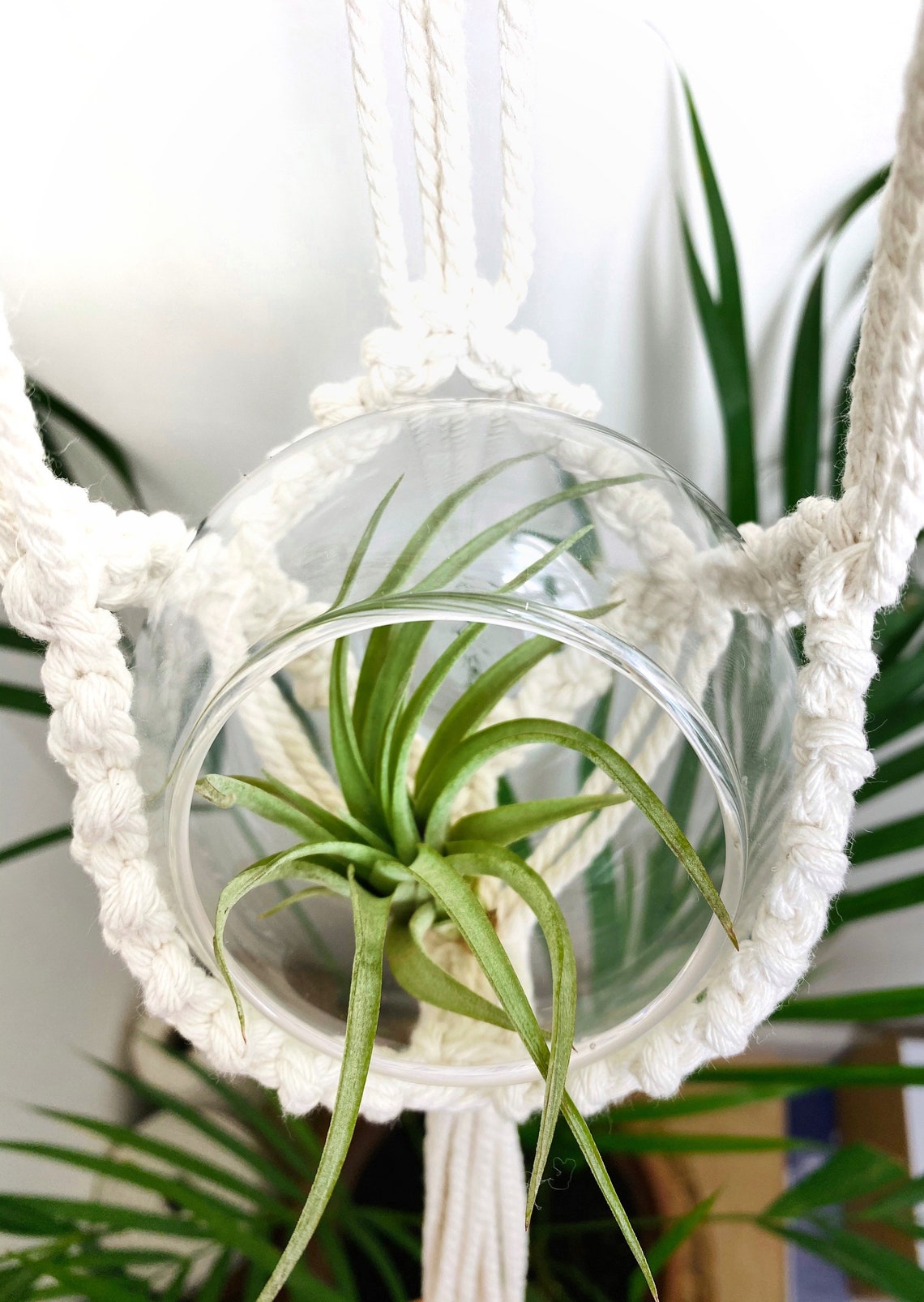 DIY KIT Macrame Air Plant Hanger Includes Glass Bowl for | Etsy UK