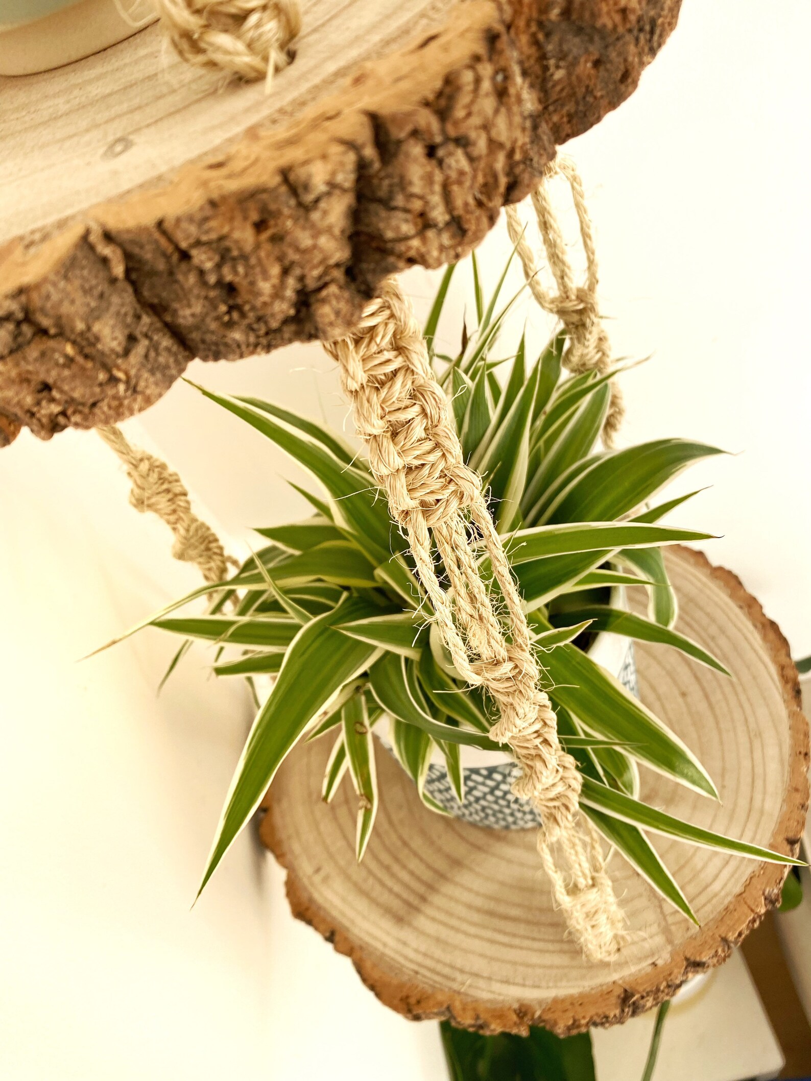 Double Tier Hanging Real Wood Shelf Set of Shelves Small - Etsy