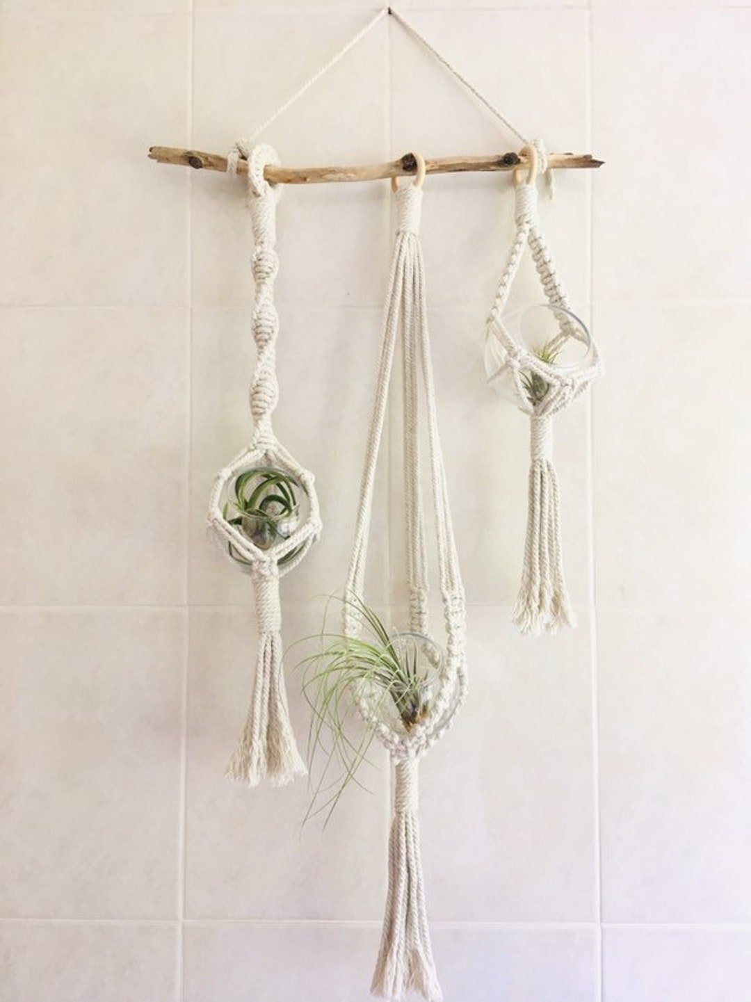Macrame Hanging Glass Globe Air Plant Holder - Etsy