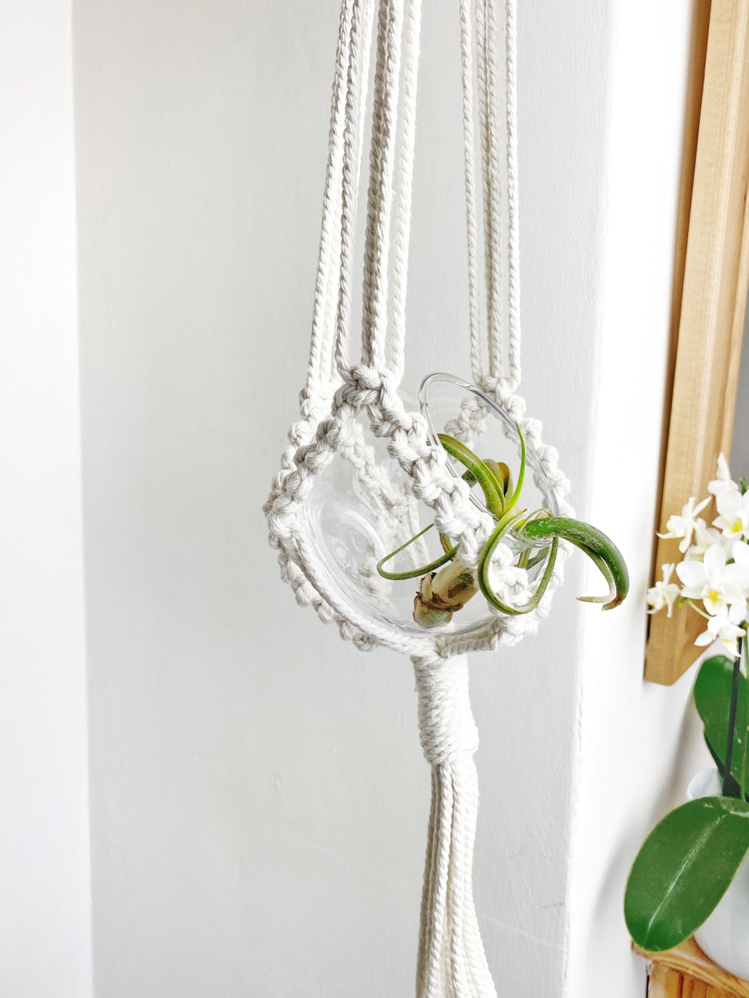 DIY Kit Macrame Air Plant Hanger/holder Pattern With Video Tutorial and ...
