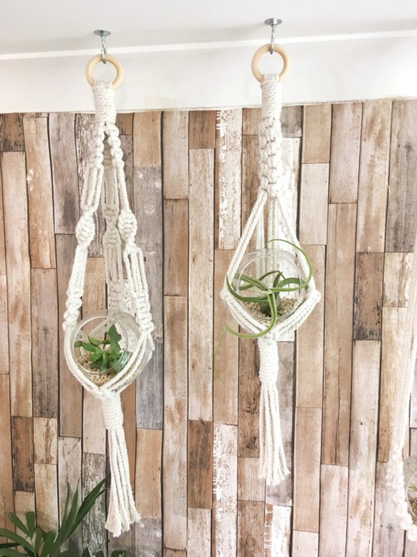 Macrame Hanging Glass Globe Air Plant Holder | Etsy