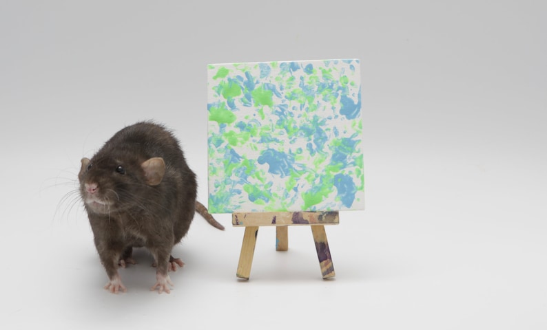 Rat Painting 4x4 - Etsy