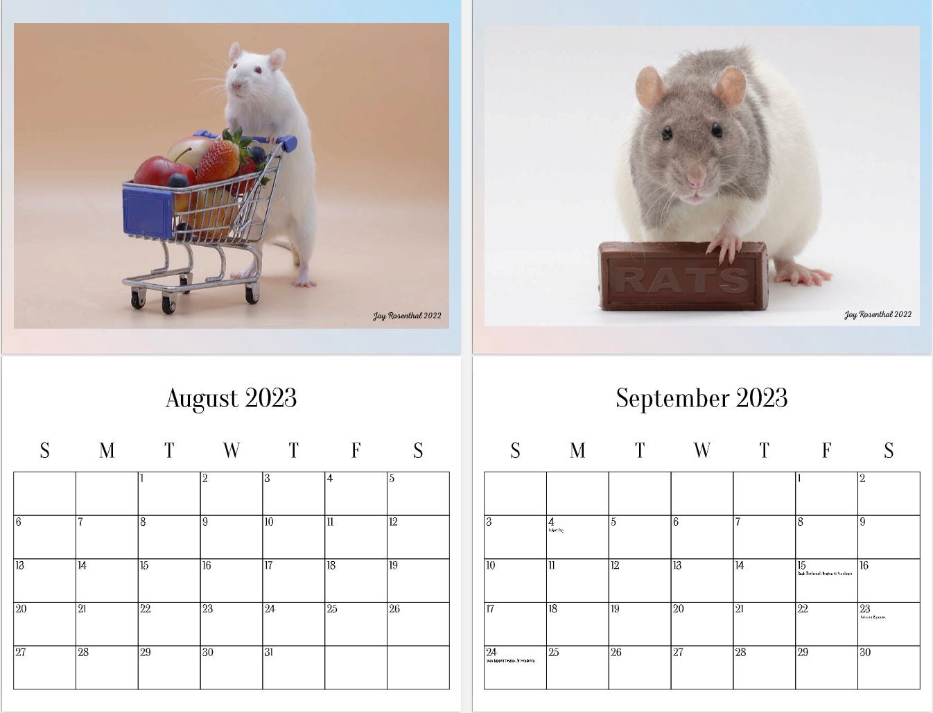 2023 Pet Rat Calendar - Etsy