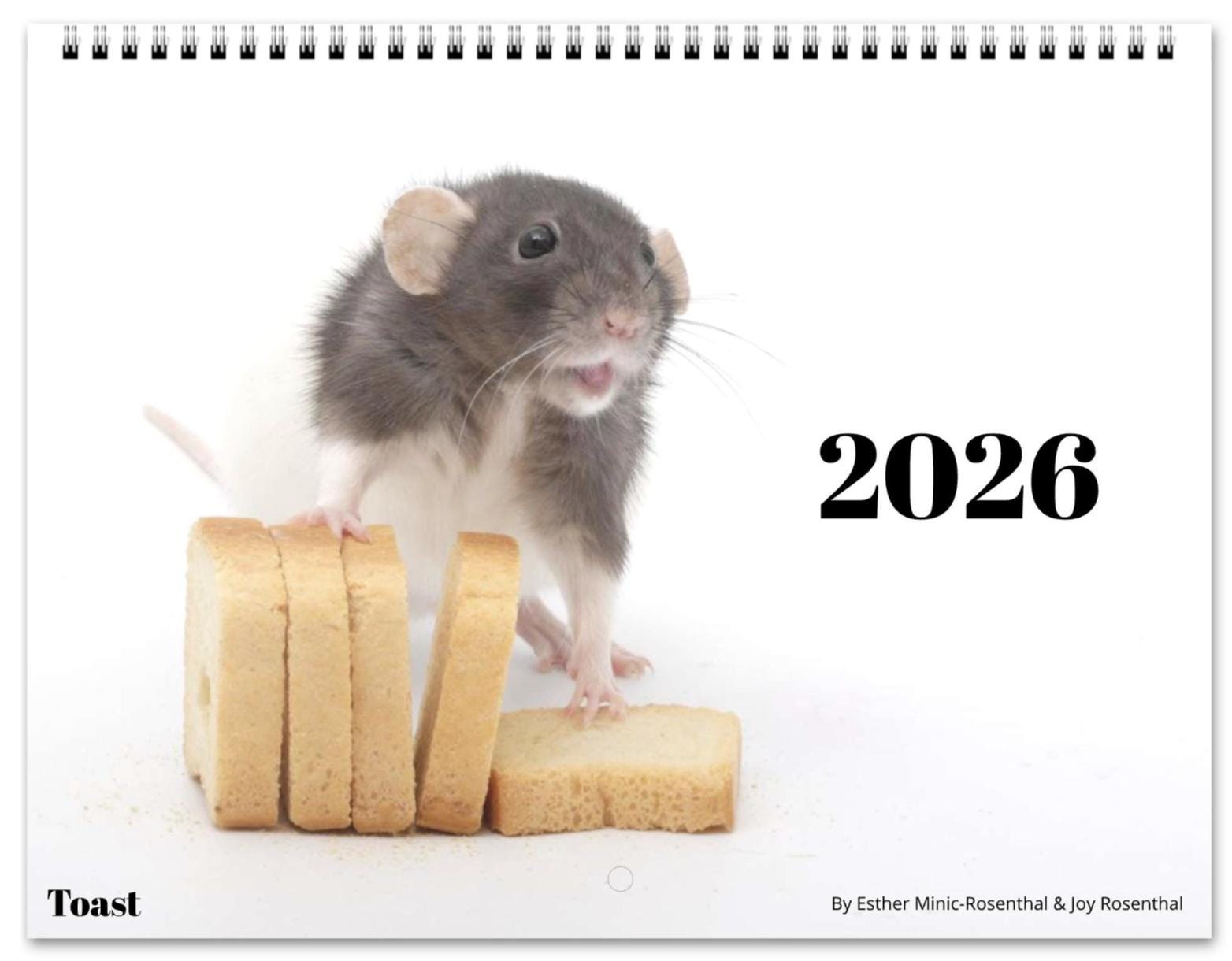 2026 Pet Rat Calendar (US & CA) - Etsy