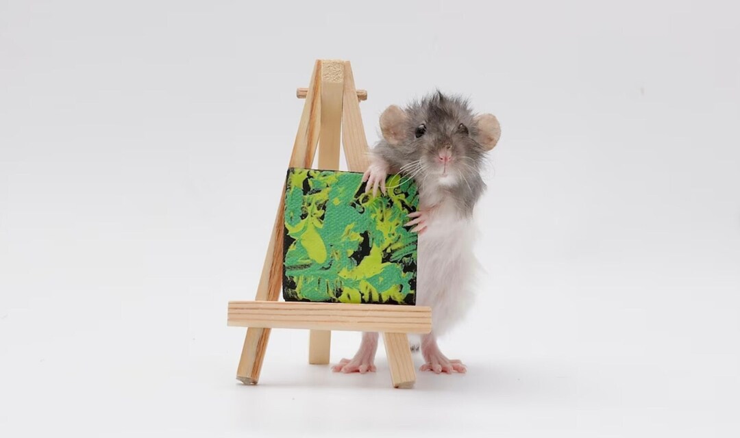 Rat Painting 2x2 - Etsy