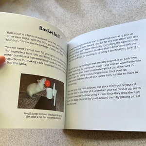 The Ultimate Guide to Rat Training (physical Book) - Etsy