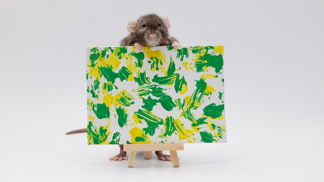 Rat Painting 5"x7" - Etsy