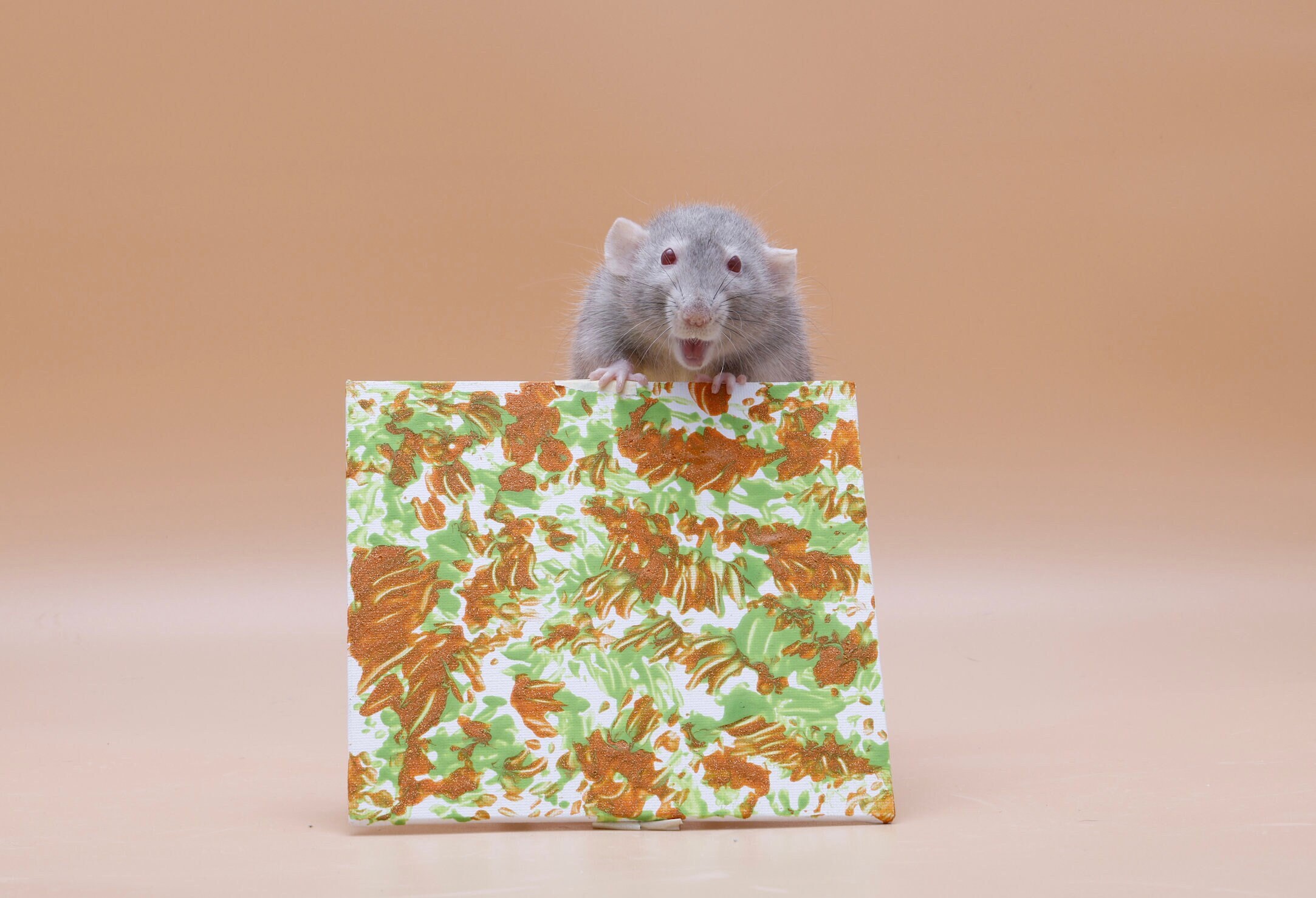Rat Painting 6"x6" - Etsy