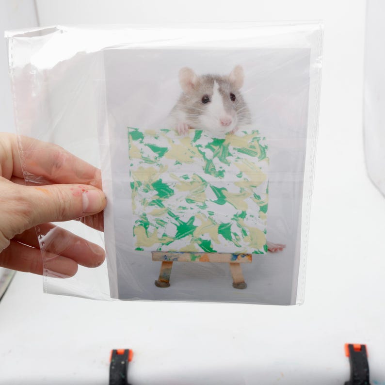 Pre-made Rat Paw Paintings - Etsy UK