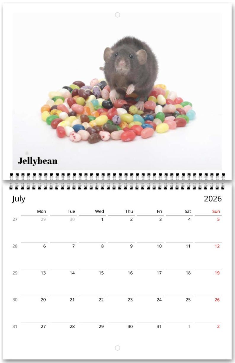 2026 Pet Rat Calendar (US & CA) - Etsy