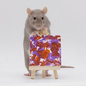 Rat Painting 3"x3" - Etsy