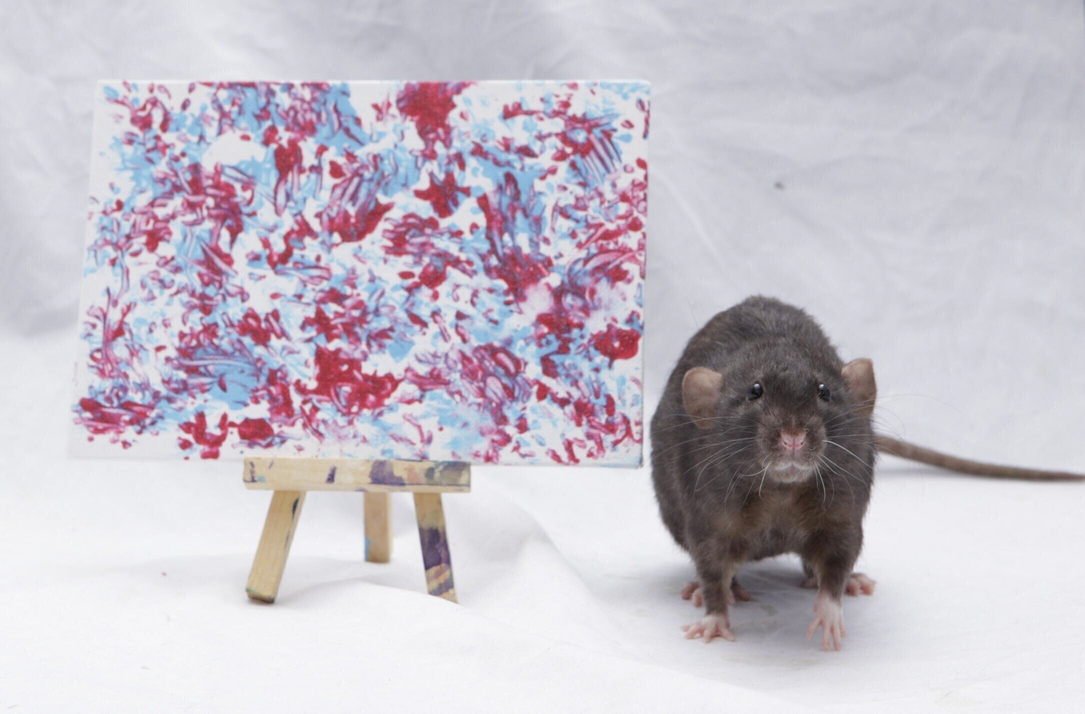 Rat Painting 5x7 | Etsy