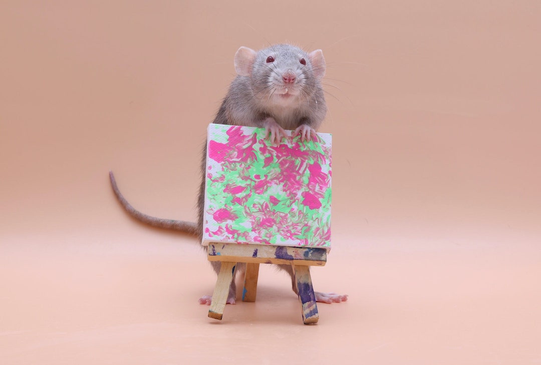Rat Painting 3x3 - Etsy