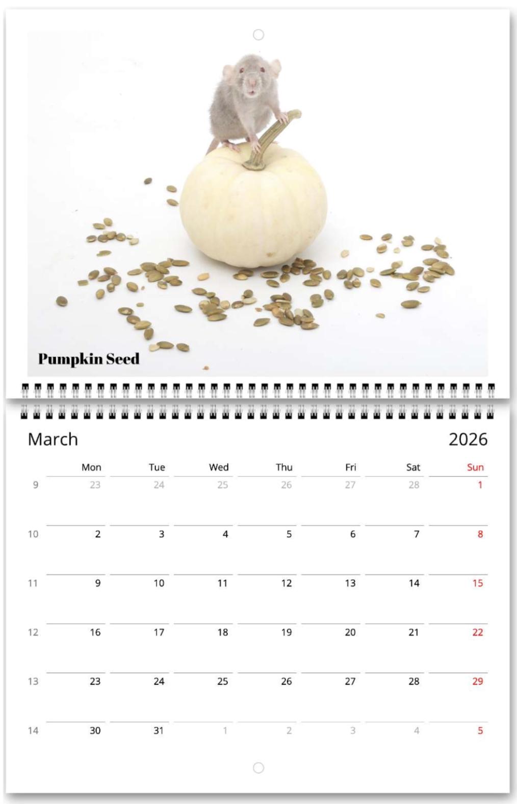 2026 Pet Rat Calendar (US & CA) - Etsy