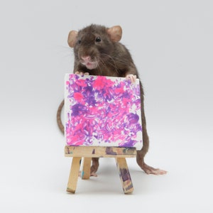Rat Painting 3x3 - Etsy