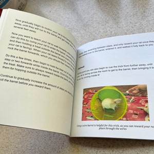 The Ultimate Guide to Rat Training (physical Book) - Etsy