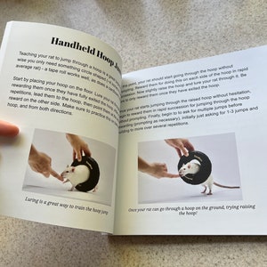 The Ultimate Guide to Rat Training (physical Book) - Etsy