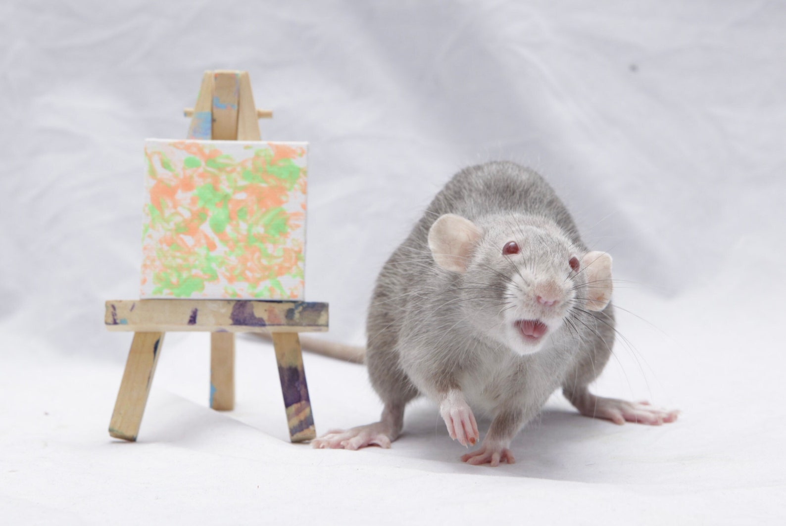 Rat Painting 2x2 - Etsy