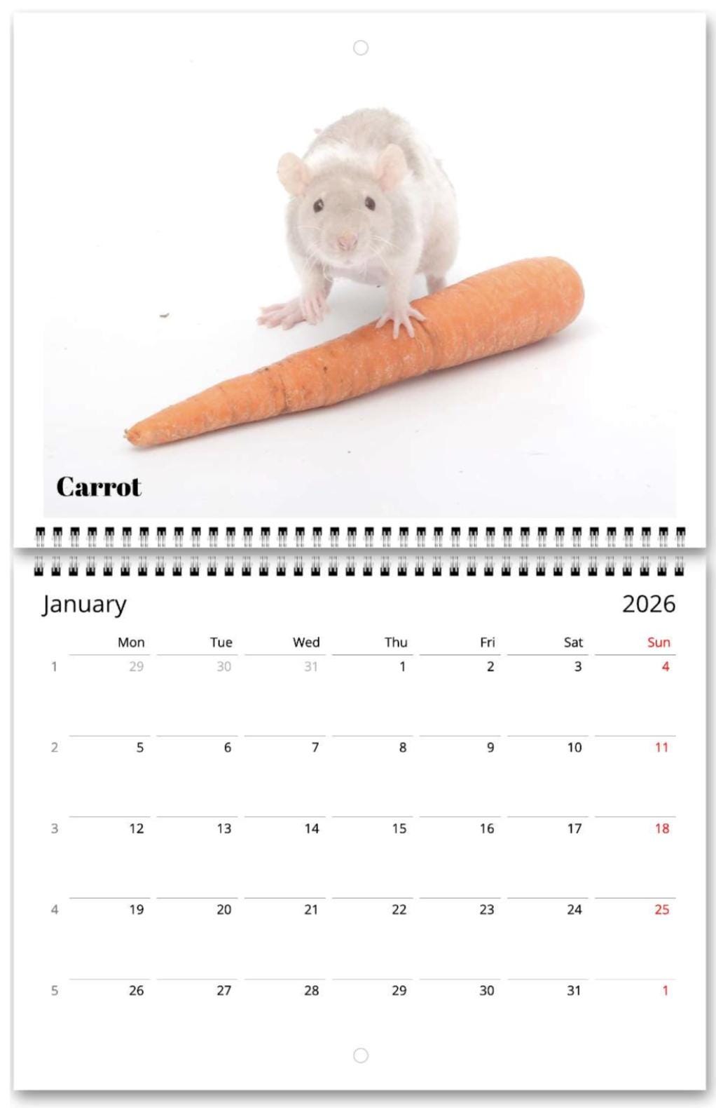 2026 Pet Rat Calendar (US & CA) - Etsy