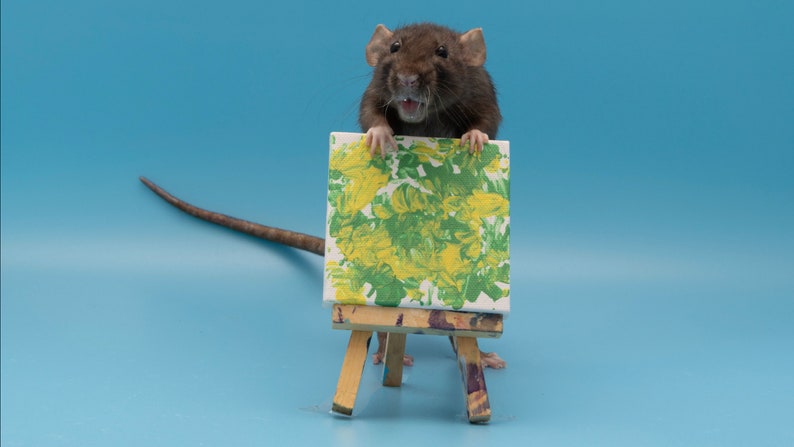 Rat Painting 3x3 - Etsy