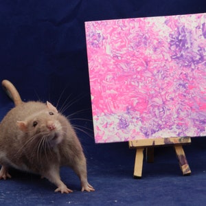 Rat Painting 4x4 | Etsy