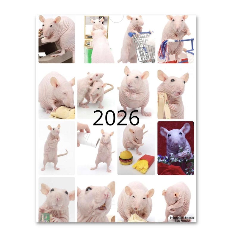Mood Board Painting - Etsy