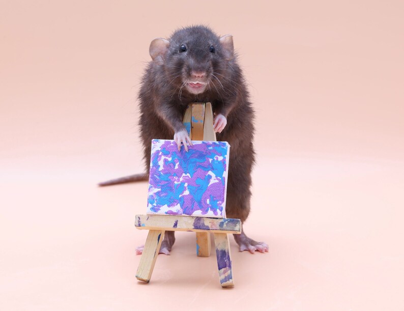 Rat Painting 2x2 - Etsy