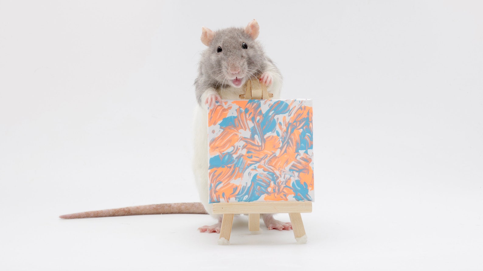 Rat Painting 3x3 - Etsy