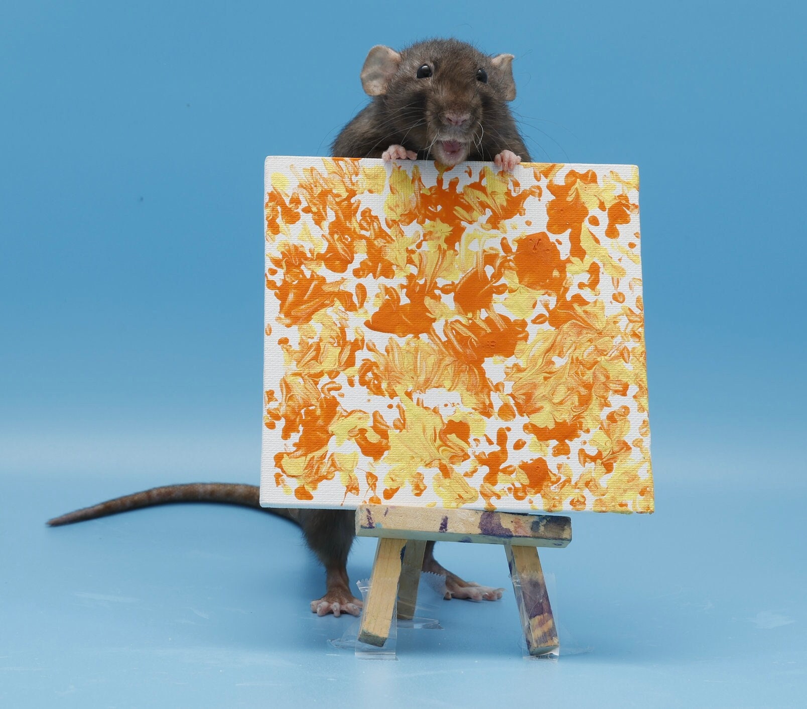 Rat Painting 5x5 - Etsy