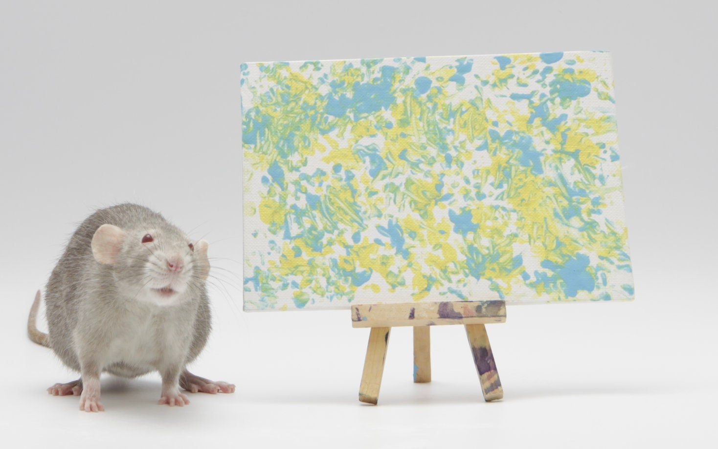 Rat Painting 5x7 - Etsy