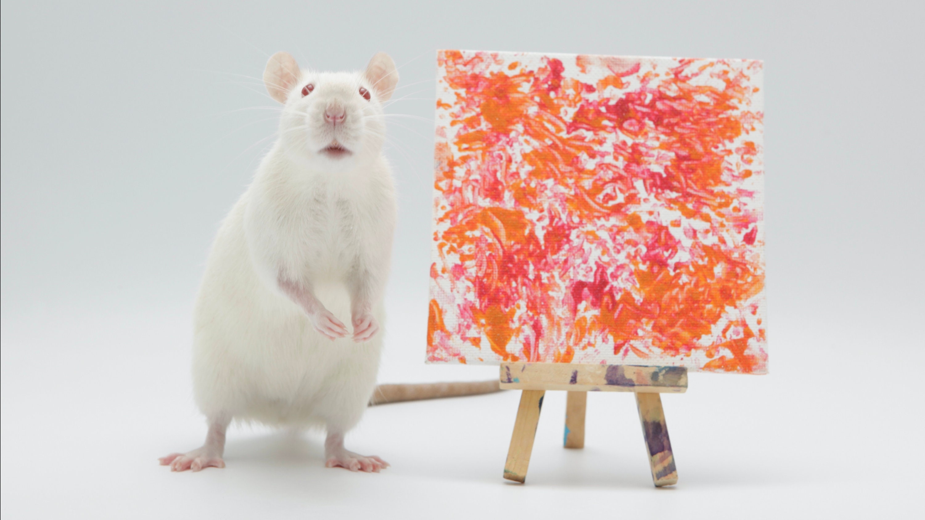 Rat Painting 5x5 - Etsy