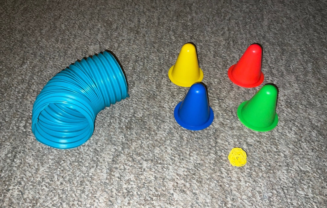 Mini Rat Training Kit + 10 Rat Trick Tutorials - Etsy