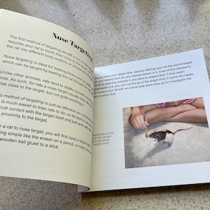The Ultimate Guide to Rat Training (physical Book) - Etsy