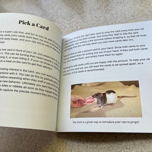 The Ultimate Guide to Rat Training (physical Book) - Etsy