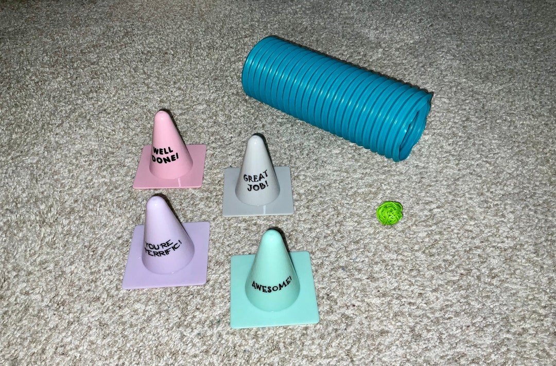 Mini Rat Training Kit 10 Rat Trick Tutorials - Etsy