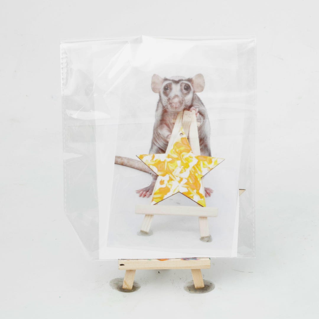 Pre-made Rat Paw Paintings - Etsy UK